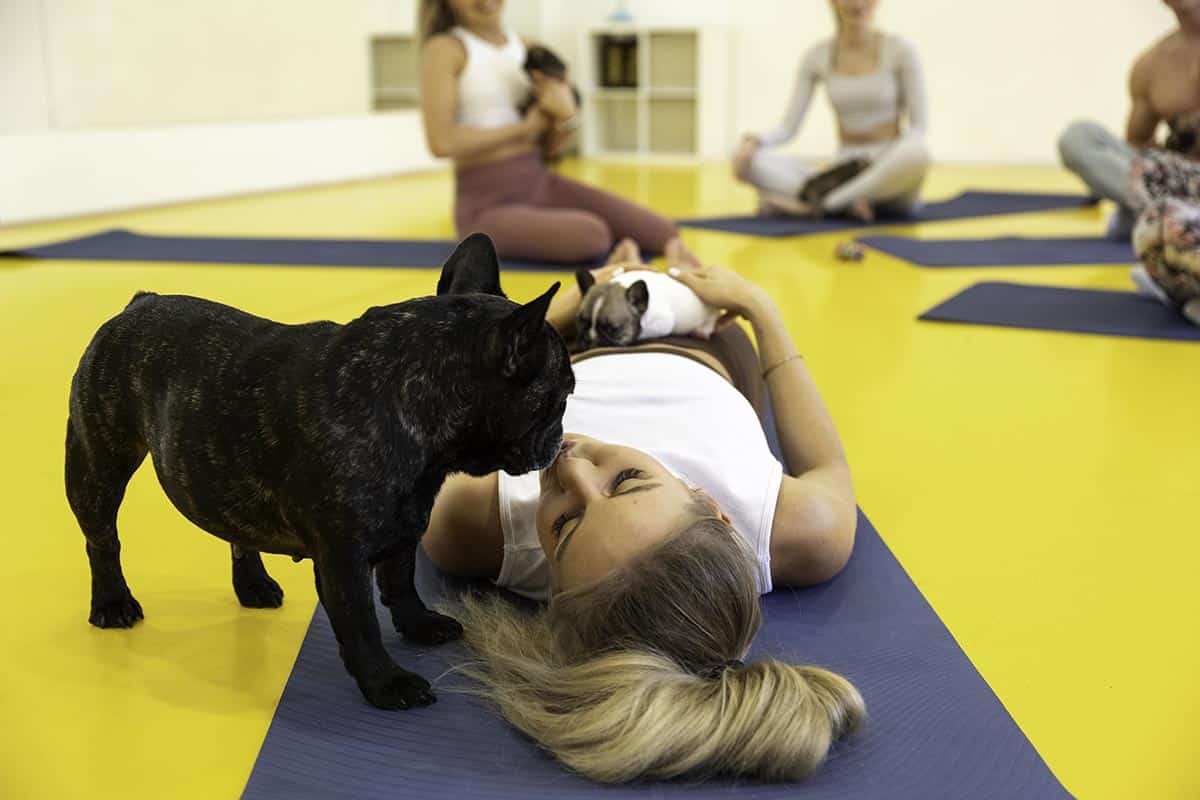 Pets Yoga Česko: Jedinečná jóga se štěňátky